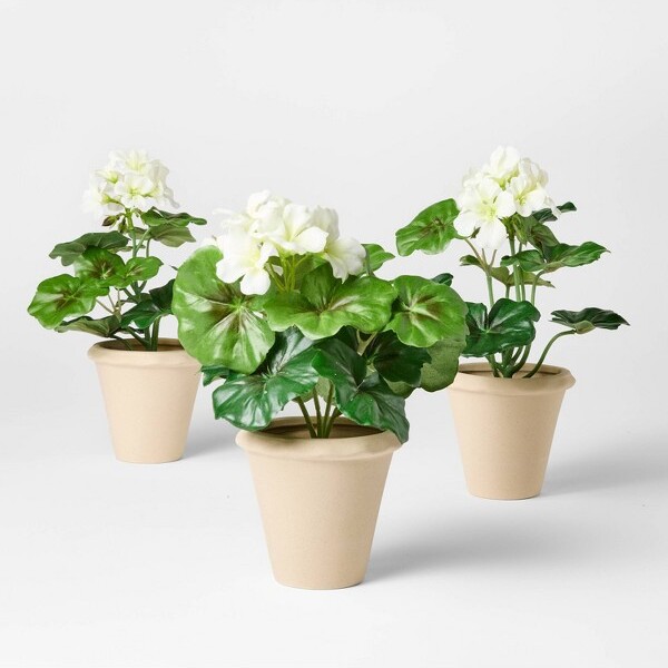 Threshold designed w/Studio McGee Set of 3 Geranium Potted Arrangements ...