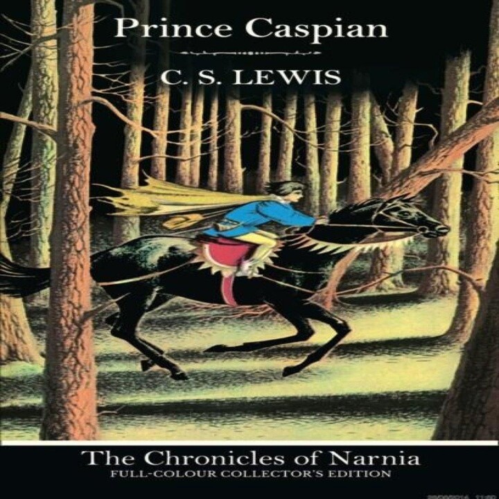C. S. Lewis Prince Caspian (Hardback) Book - ShopStyle