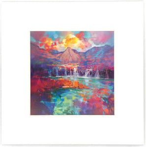 Scott Naismith Fairy Pools Of Skye Mounted Art Print - ShopStyle
