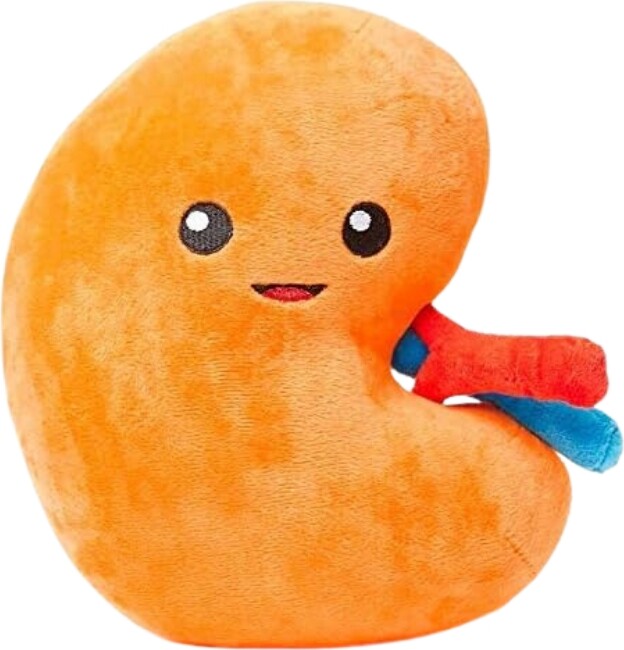 Nerdbugs Kidney Plush Toys - Urine for a treat! - ShopStyle