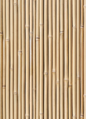 Teacher Created Resources Bamboo Better Than Paper Bulletin Board Roll ...