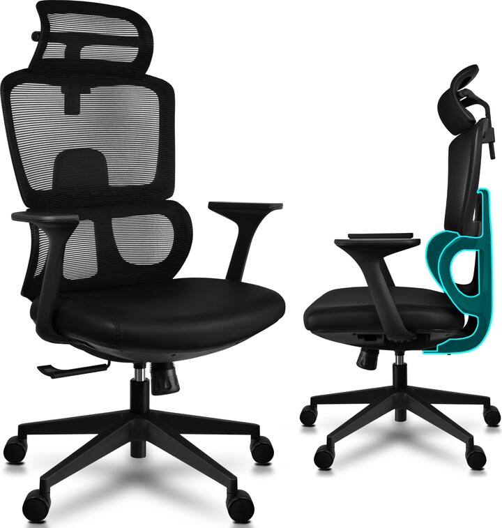 2xhome Ergonomic Office Chair with Lumbar Computer Adjustable Headrest ...