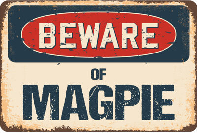 SignMission Beware of Magpie Sign - ShopStyle Desks
