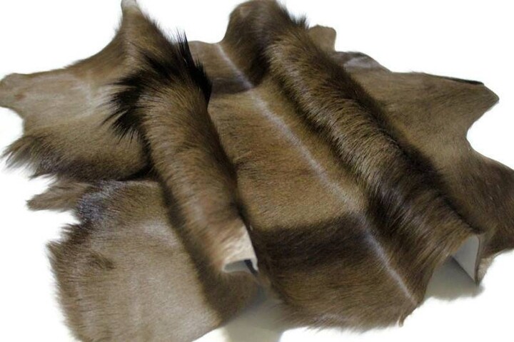 Etsy Black Springbok Authentic Leather Rug Decor. This Is The Rare ...