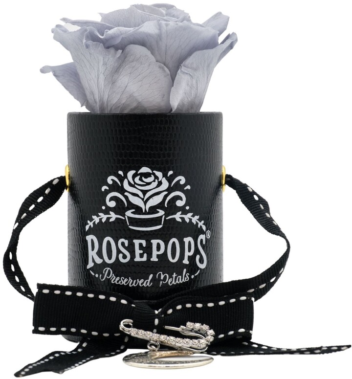 Rosepops Pop-Up Single Moonbeam Real Rose with Complementary to The ...