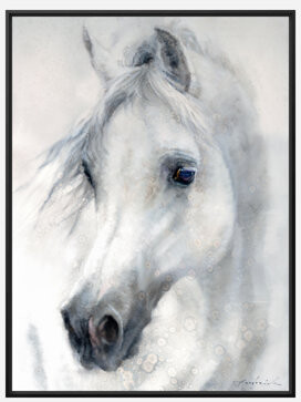 David Frederick Riley Prints Stallion by - Floater Frame Print on ...