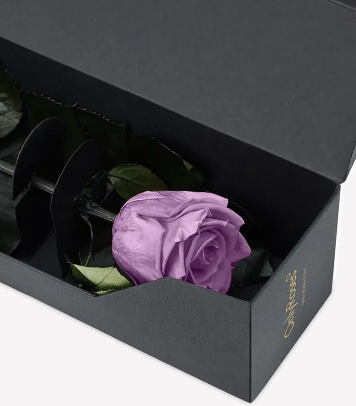 OnlyRoses Infinite Rose Statement - ShopStyle Decor