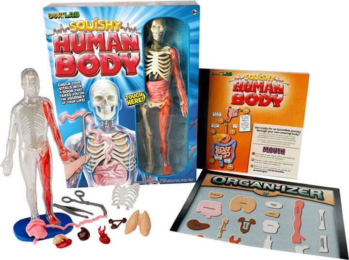 Redbox Smart Lab Squishy Human Body - ShopStyle Toys