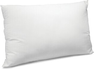 Softex Silver Select Polyester/Polyfill H28 x W20in Plush Support ...