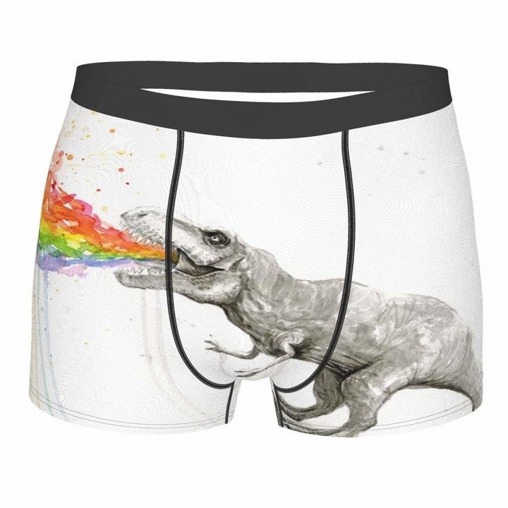 Inaayayi T Rex Dinosaur Puke Taste Rainbow Mens Underwear Boxer Briefs ...