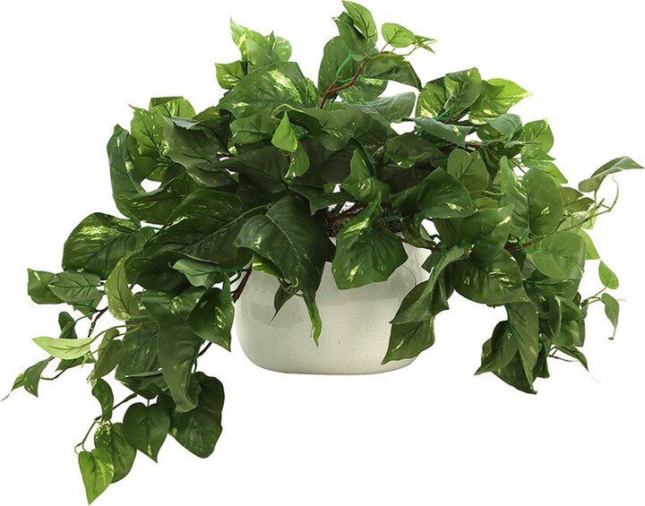 Creative Displays Pothos Plant In Ceramic Pot - ShopStyle Decor