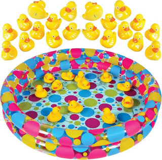 JASODI Duck Pond Matching Game for Kids Includes 20 Plastic Ducks with ...