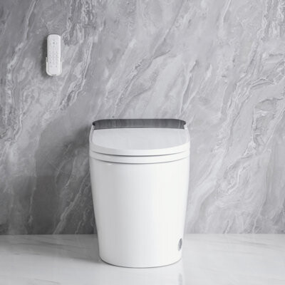 Wenty Elongated Smart Toilet With Elongated Heated Bidet Seat ...