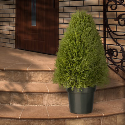 The Holiday Aisle Artificial Upright Juniper - ShopStyle Easter