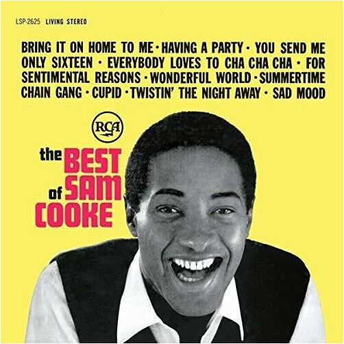 Sam Cooke - The Best Of (140 Gram Vinyl) - ShopStyle Phones & Tablets