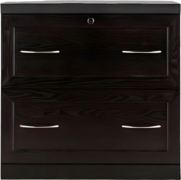 Slickblue 2-Drawer Free Standing Lateral File Cabinet - ShopStyle Chests