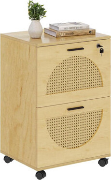 Bay Isle Home 2 Drawer File Cabinet, Rattan Filing Cabinet With Lock ...