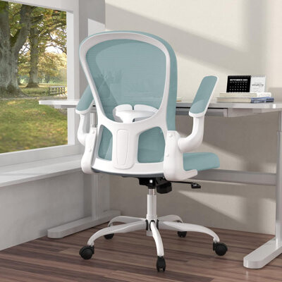 Inbox Zero Office Chair, Comfort Swivel Home Office Task Chair ...