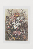 H&M Artwork | Shop the world’s largest collection of fashion | ShopStyle