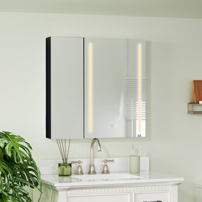 Wrought Studio Chorlette Surface Mounted Frameless 2 Doors Medicine ...