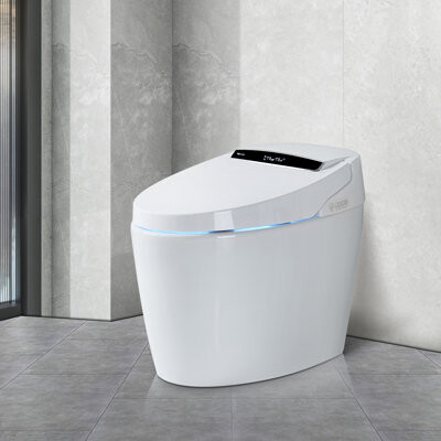 xuanlur Smart Bidet Toilet with Auto-Open/Close Heated Seat, Warm Water ...