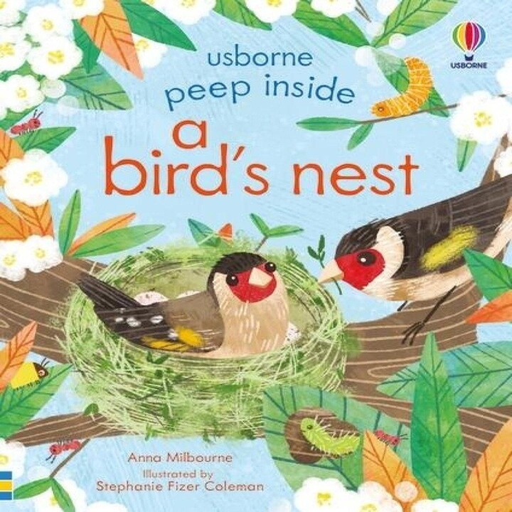 Anna Milbourne Peep Inside a Bird's Nest Book - ShopStyle