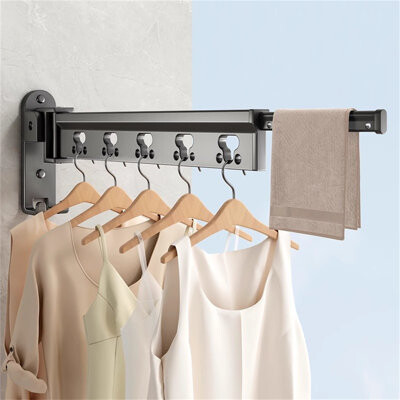 Thrones Designs Flexihang Wall-Mounted Retractable Clothes Rack ...