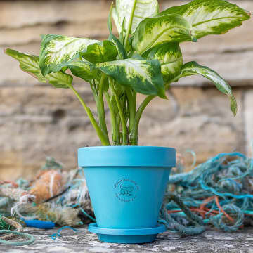 Ocean plastic pots 13cm Plastic Pot and Saucer Set Blue/Mint green/Blue ...