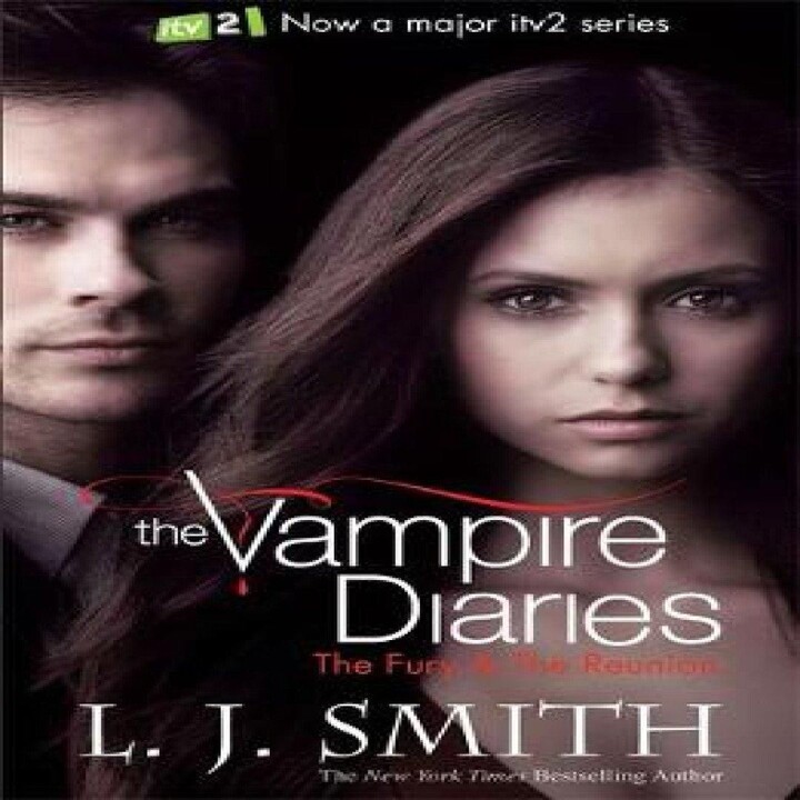 L.J. Smith The Vampire Diaries: The Fury Book - ShopStyle