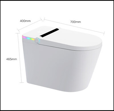 Delight Glass Smart Toilet With Built-In Bidet Seat - ShopStyle Game Room