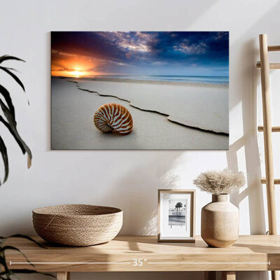 Elephant Stock Fraser Island Beach Shell - ShopStyle Decor