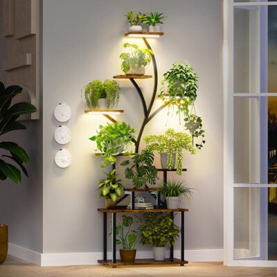 Co-t 9-Tier Indoor Plant Stand With Adjustable Grow Lights, Sturdy ...
