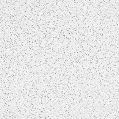 Armstrong Ceilings RANDOM TEXTURED 2 ft. x 4 ft. Drop-In Mineral Fiber ...