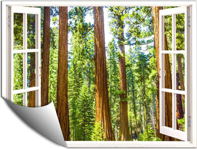 IDEA4WALL The Sun Shines Through the Gaps in the Forest Smooth Wall ...