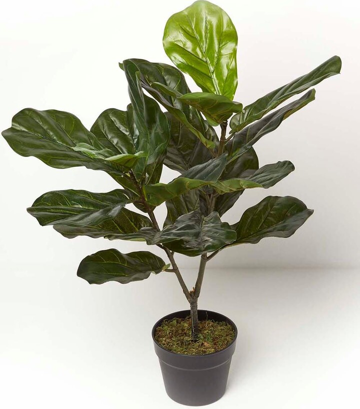 Homescapes Artificial Fiddle Leaf Fig Tree in Pot, 75 cm Tall ...