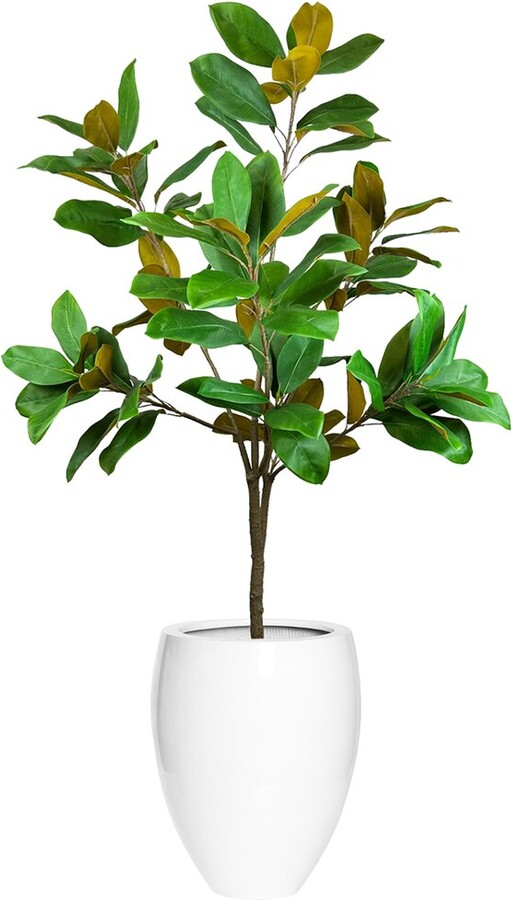 Creative Displays Uv-Rated 5Ft Magnolia Tree Drop-In With Fiberstone ...