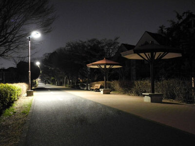 eLEDing 100-Watt 16000-Lumen Integrated LED Gray Motion Activated ...