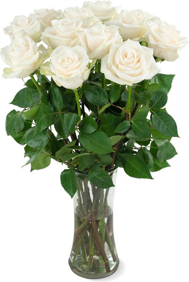 Colour Republic Fresh Cut Dozen White Rose Flower Bouquet - each ...