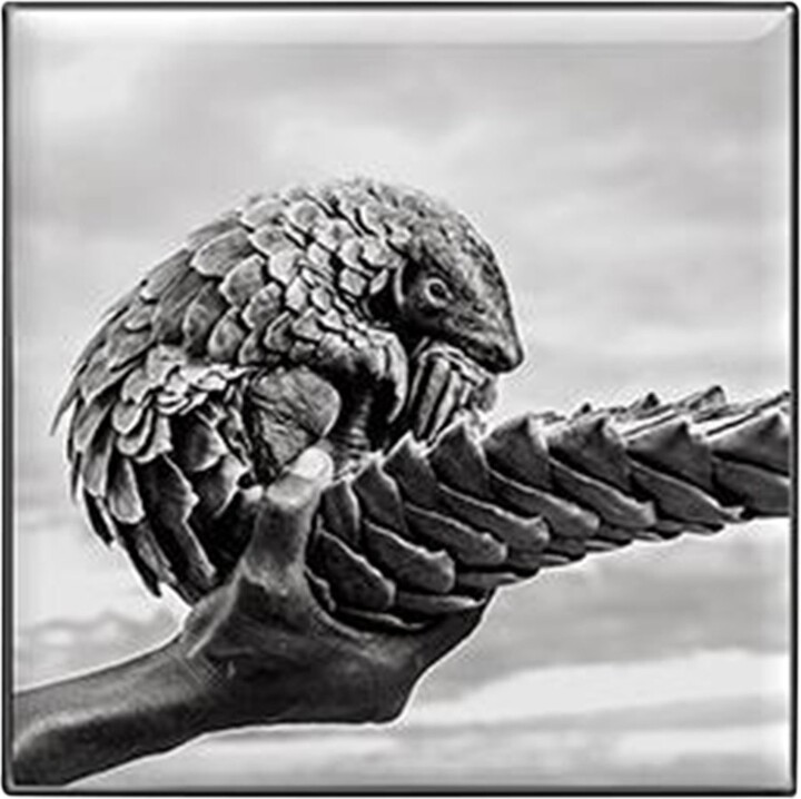 Chantecaille Luminescent Eye Shade, Pangolin - ShopStyle Girls' Jewelry