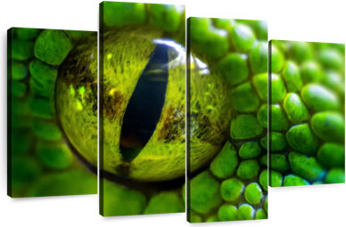 Elephant Stock Green Python Eye - ShopStyle Decor