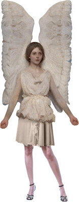Wet Paint Printing Abbott Handerson Thayer Angel Cardboard Standup ...