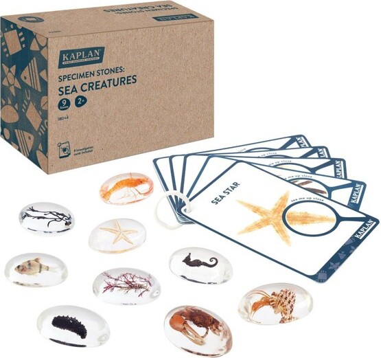 Kaplan Early Learning Company Kaplan Early Learning Specimen Stones ...