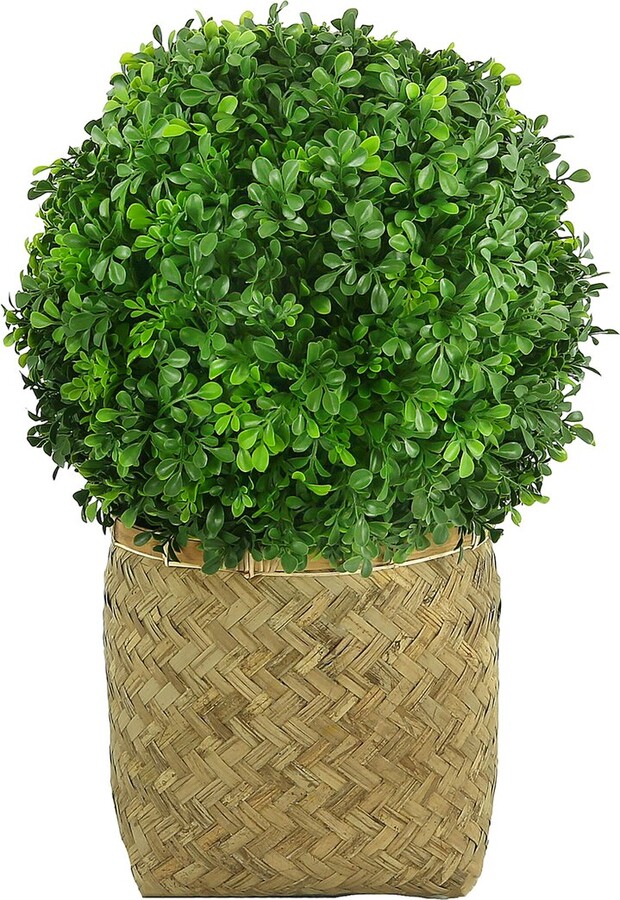Creative Displays Uv-Rated Outdoor Boxwood Ball In Basket Planter ...