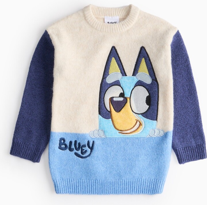 Bluey Colour Block Knitted Jumper (5-6 Years) - ShopStyle Boys' Knitwear