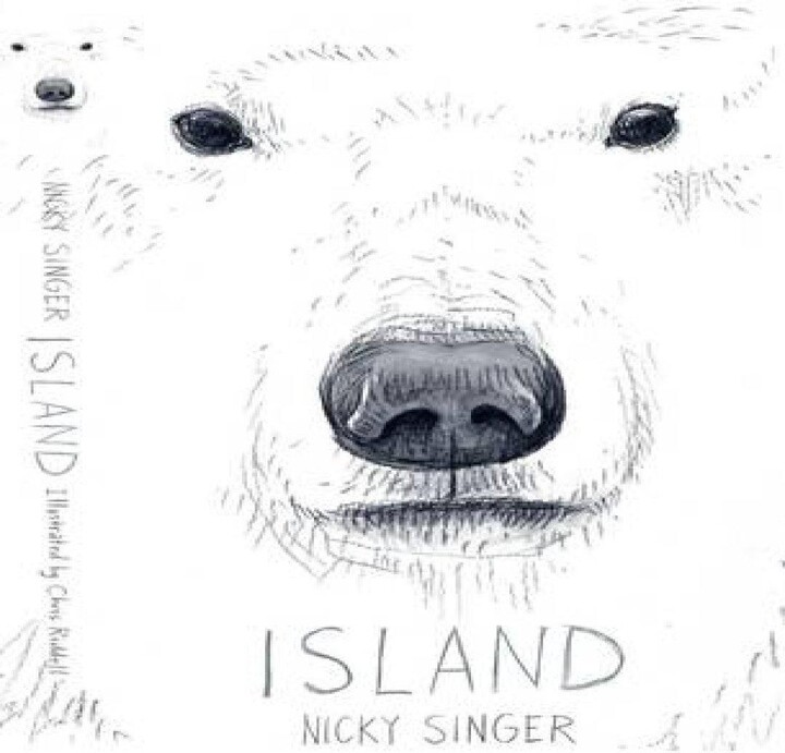 Nicky Singer Island Book - ShopStyle