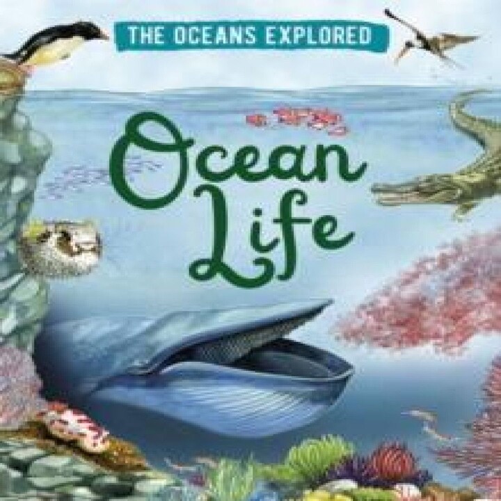 Claudia Martin The Oceans Explored: Ocean Life Book - ShopStyle