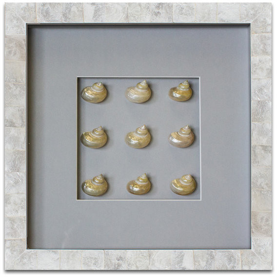 Wjc Designs Pearls Of The Sea In Pearl Capiz Shell Frame, Turbo Shells ...