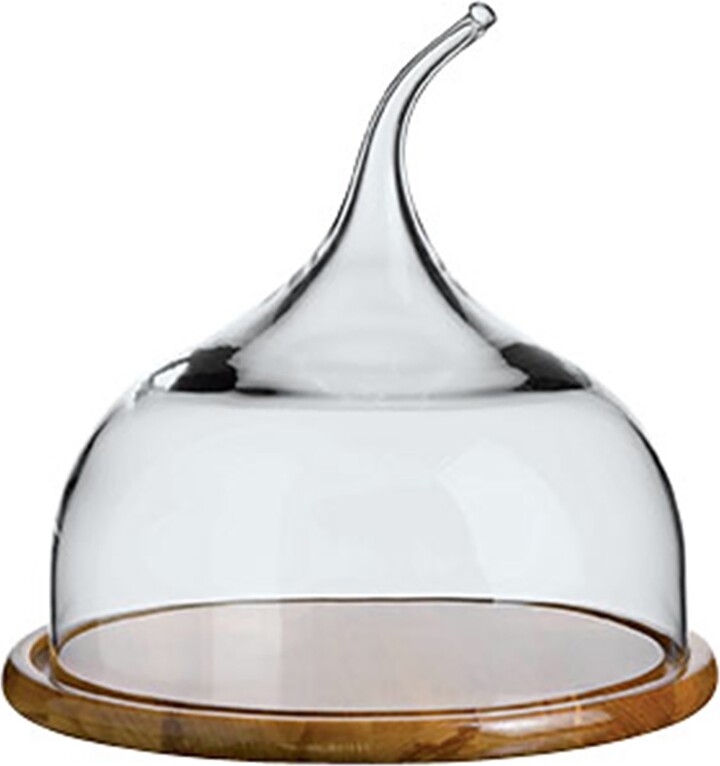 TURGLA HOME - Senses Large Glass Dome With Wood Base - ShopStyle Salt ...