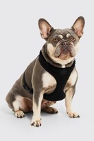 boohoo Leashes, Harnesses & Collars | ShopStyle