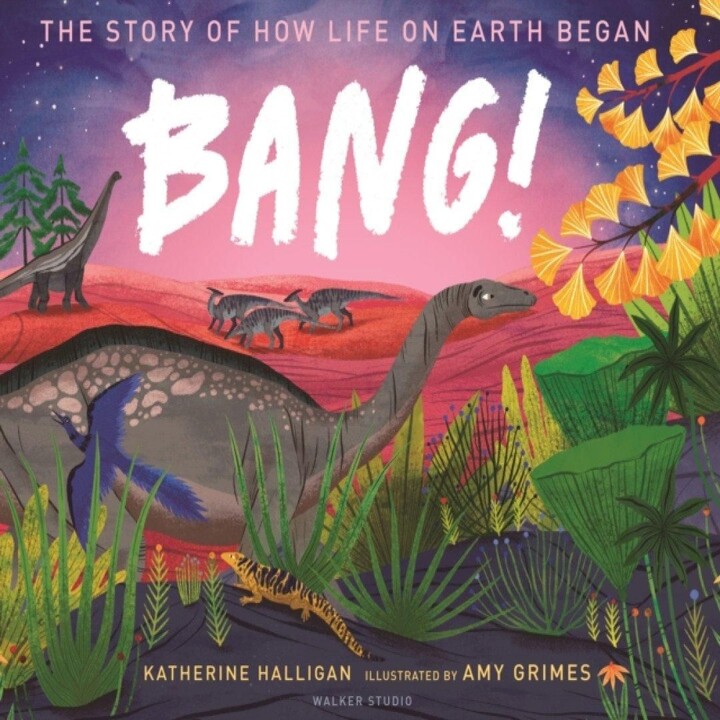 Katherine Halligan BANG! The Story of How Life on Earth Began Book ...